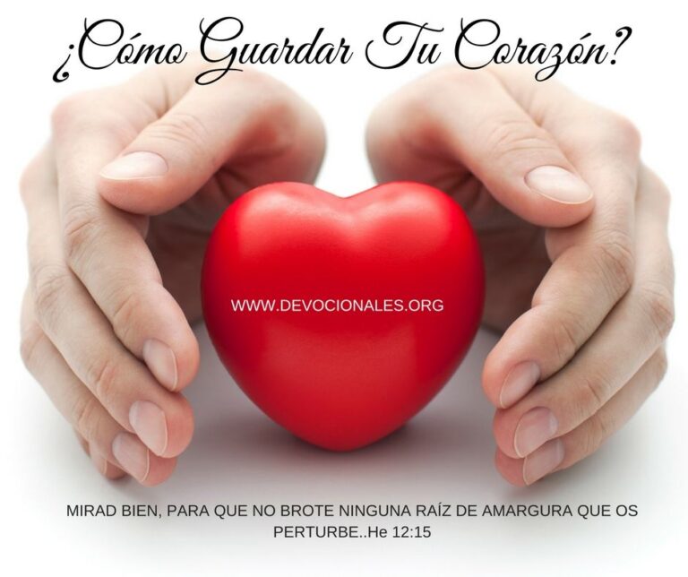 Cómo tener un corazón sano según la biblia 》 - La Luz de la Religión