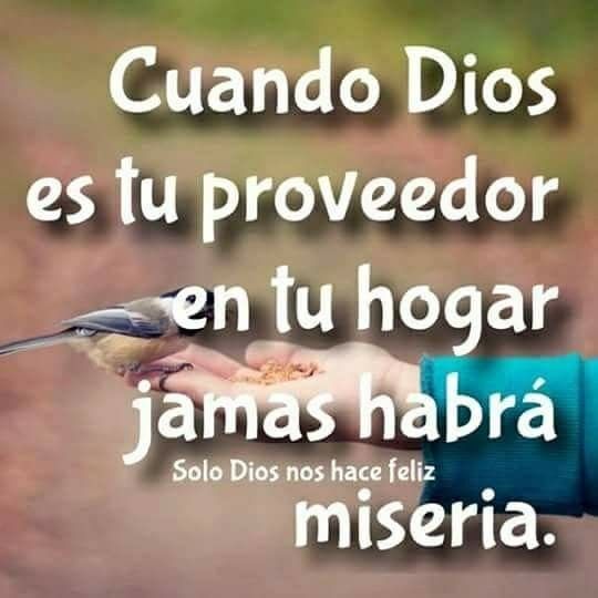 Dios es mi proveedor y nada me faltará versículo 》 - La Luz de la Religión