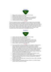 Qué es el verbo en la biblia 》 - La Luz de la Religión