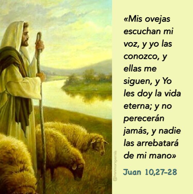Las 8 clases de ovejas en la biblia 》 - La Luz de la Religión