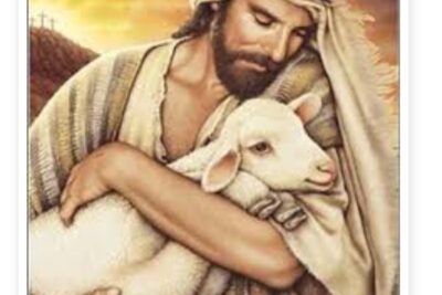 Las 8 clases de ovejas en la biblia 》 - La Luz de la Religión