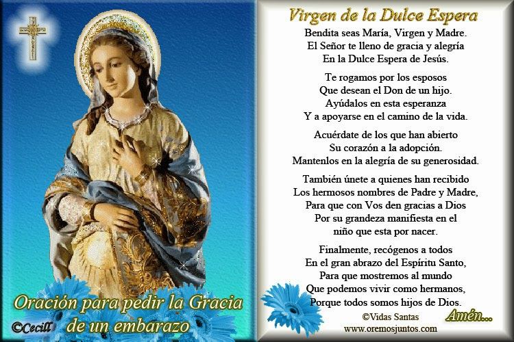 Oración a la virgen del carmen para embarazadas 》 - La Luz de la Religión