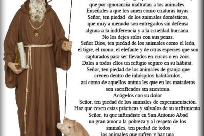 Oración por los animales enfermos san francisco de asís 》 - La Luz de ...
