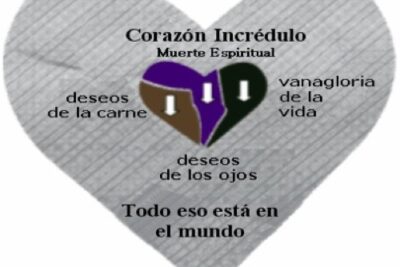 Qué es el corazón espíritualmente hablando 》 - La Luz de la Religión