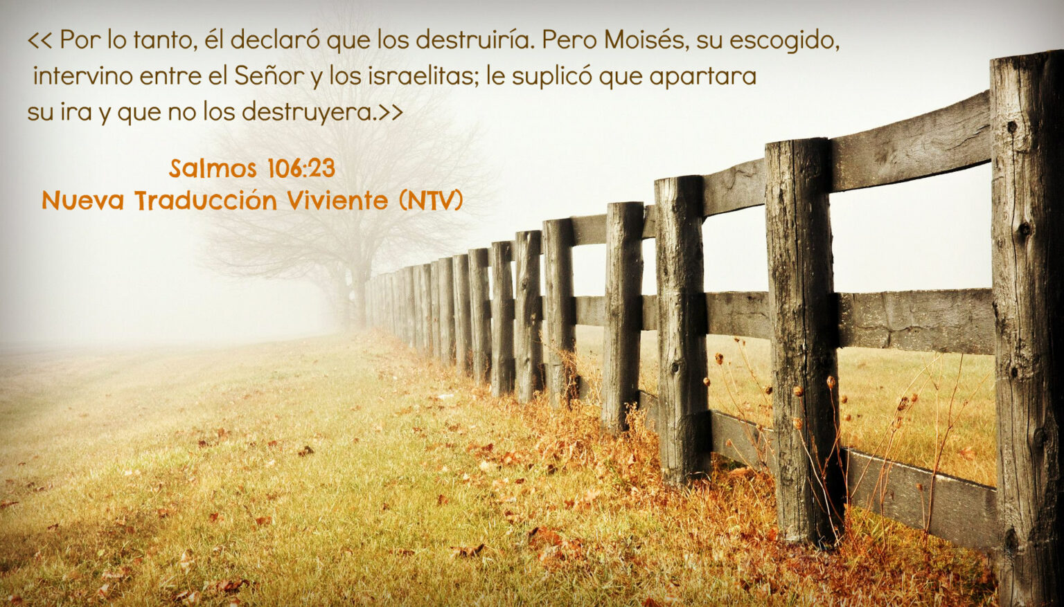 Qué significa ser tibio en la biblia 》 - La Luz de la Religión