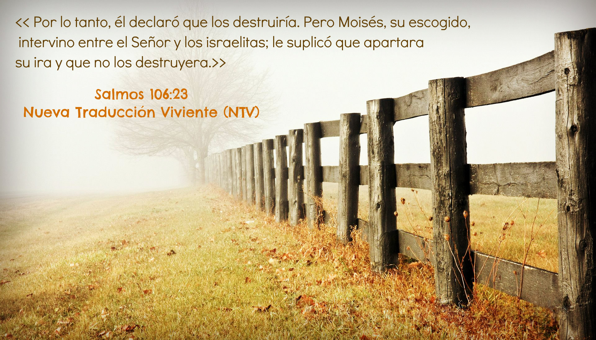 Qué es un vallado en la biblia 》 - La Luz de la Religión
