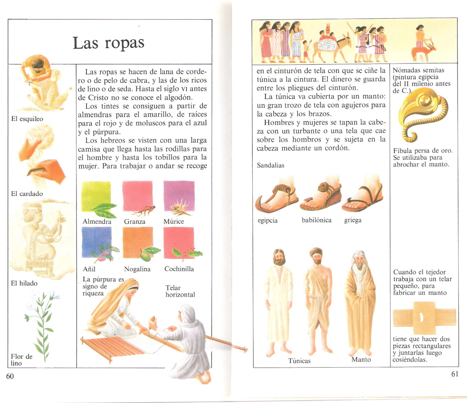 La sal en la biblia y su significado espiritual 》 - La Luz de la Religión