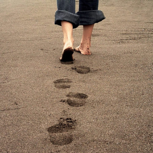 Significado de hollar en la biblia 》 - La Luz de la Religión