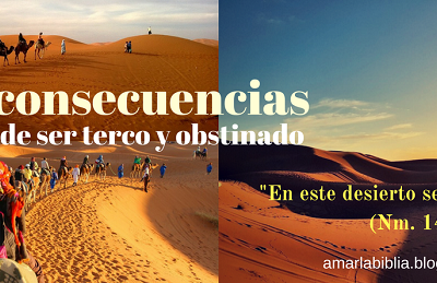 Significado de testarudo en la biblia 》 - La Luz de la Religión