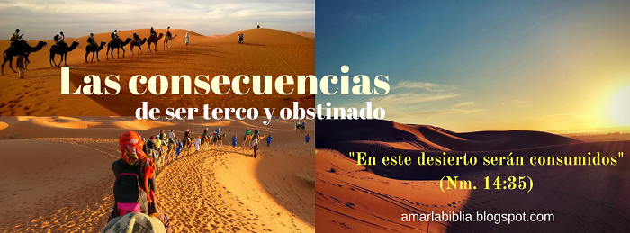 Significado de testarudo en la biblia 》 - La Luz de la Religión